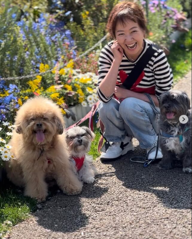 浅田美代子に子供はいるの？吉田拓郎との結婚生活と離婚理由を調査！ | Fushakushinmyou